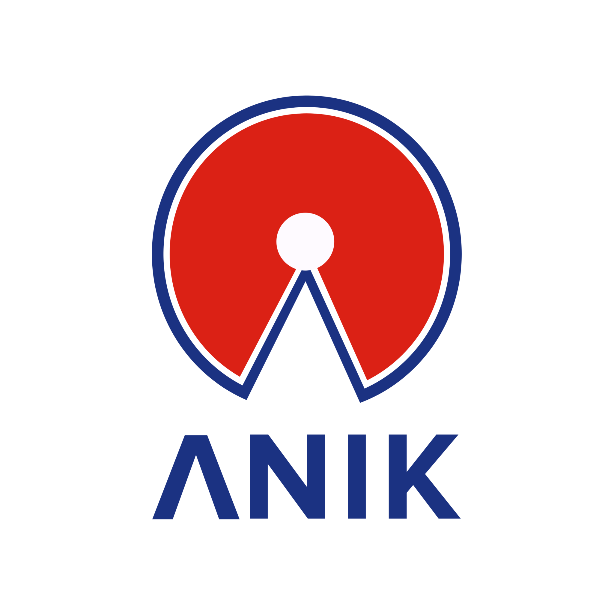 About Us – Anik Financial Services Pvt. Ltd.